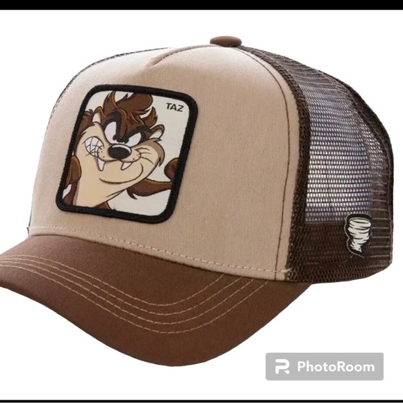 Warner Bros. | Accessories | Taz Hat Looney Tunes Hat Tazmanian Devil ...
